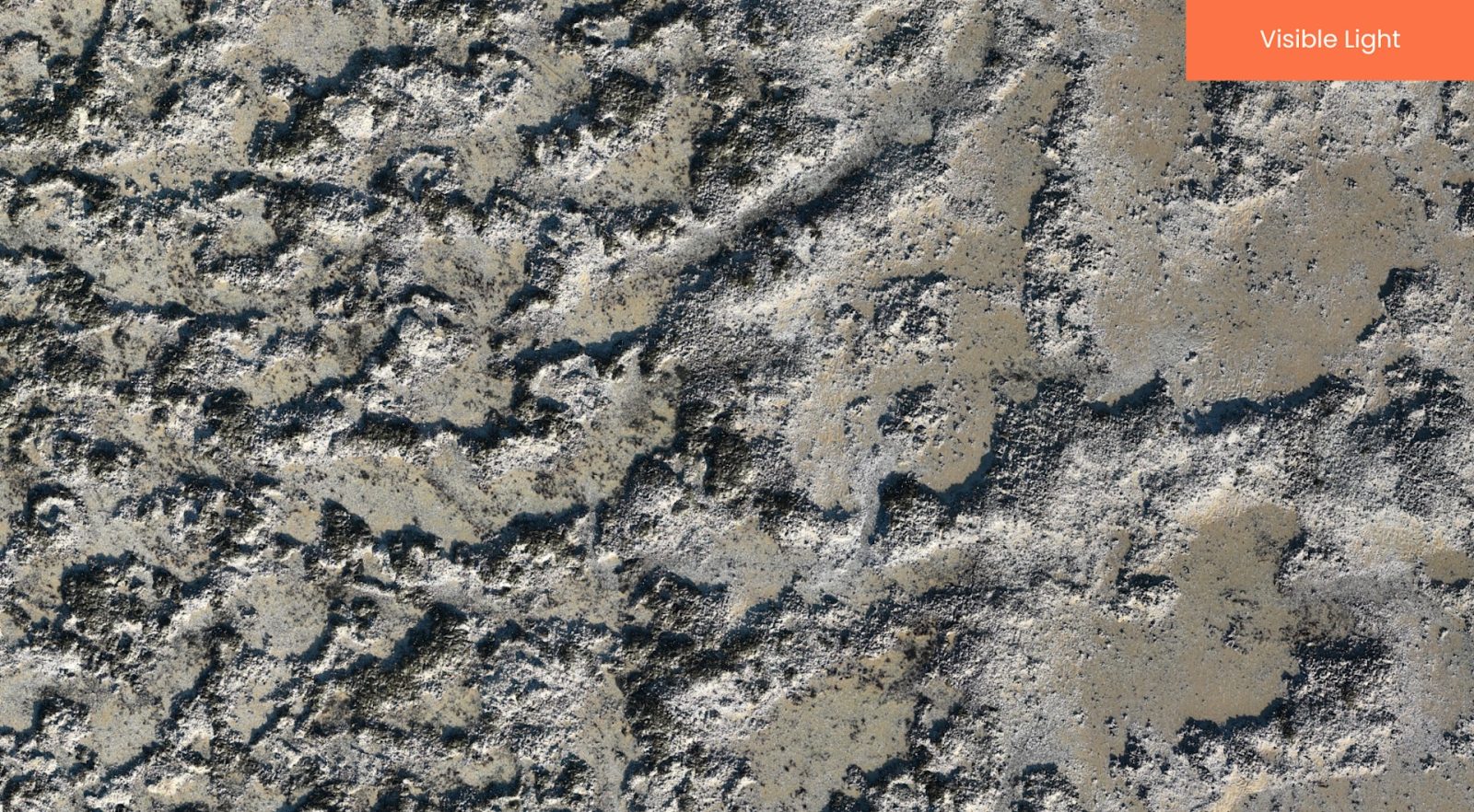 Mussel surveys with multispectral drone data - IFCA North West