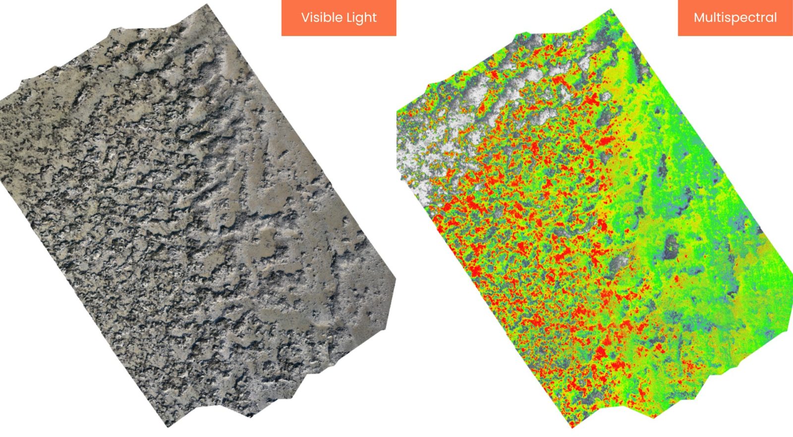 Mussel surveys with multispectral drone data - IFCA North West